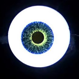 24mm LED Lit Eyes